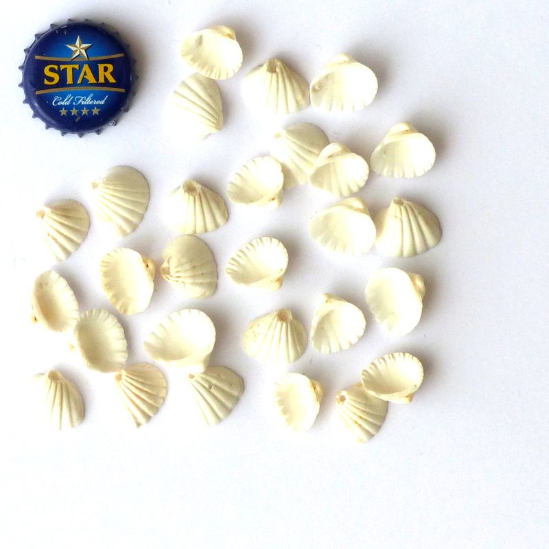 Shells & Natural Beads Scallop Shells | The African Fabric Shop