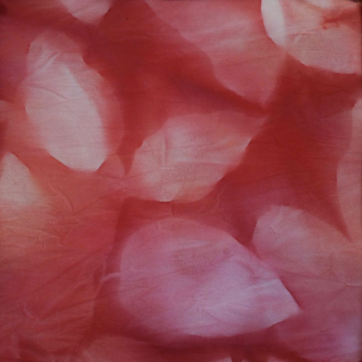 Langa Lapu South African Sun Prints Langa Lapu 300 | The African Fabric ...